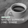 1일 카페인 섭취량 청소년 성인 임산부는 부작용까지 총정리 네이버 블로그